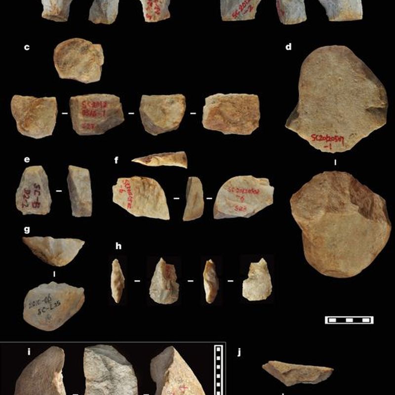Homo Habilis Artifacts