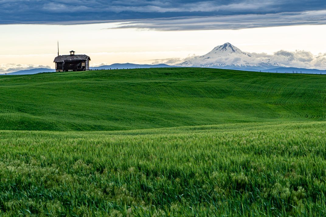 Frontier schoolhouse accompanied by Mount Hood | Smithsonian Photo ...