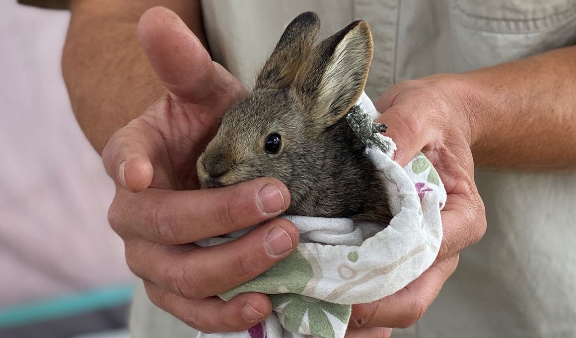 Life on a Sustainable Planet Blog | Smithsonian Magazine