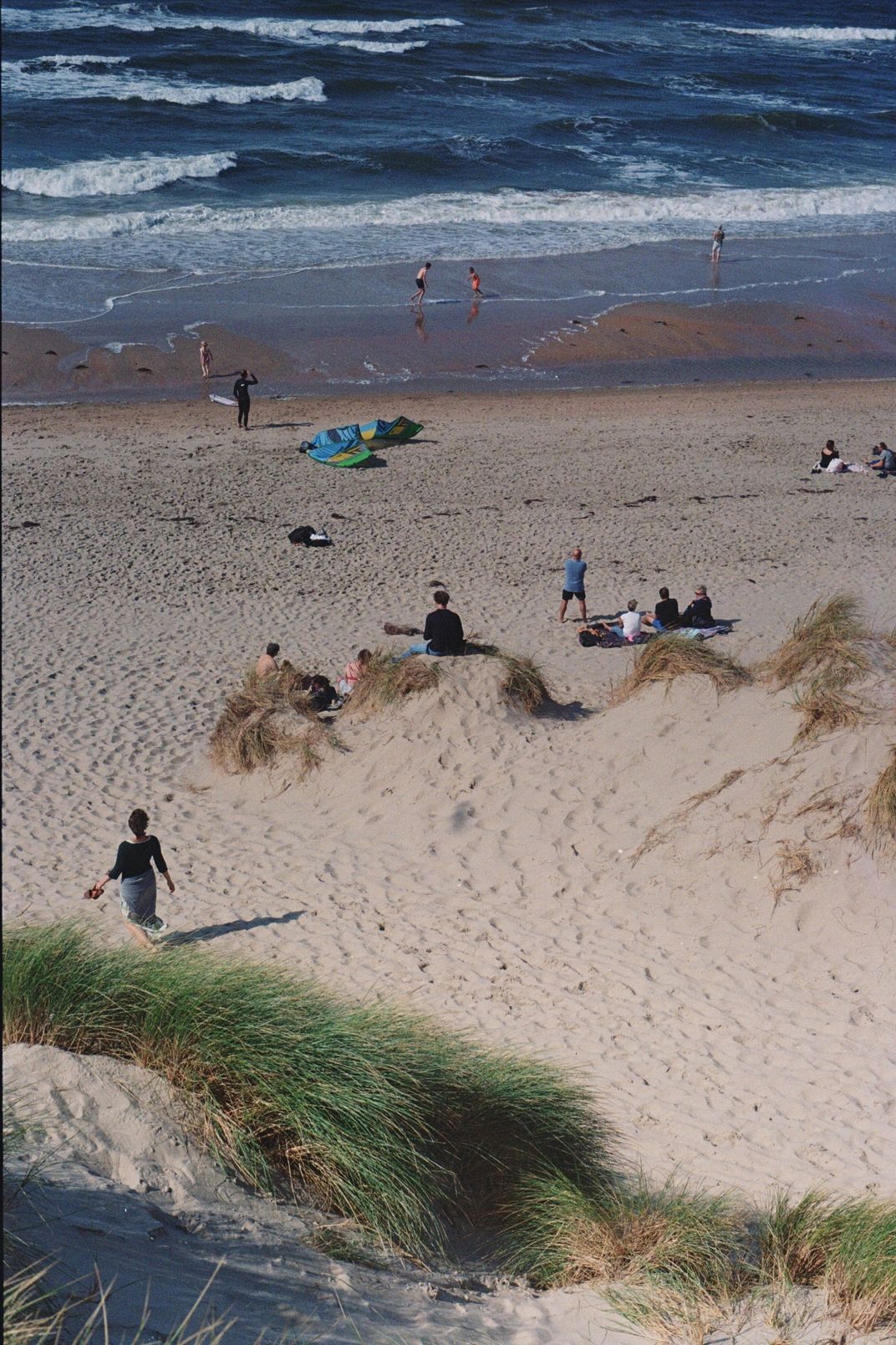Dutch dunes | Smithsonian Photo Contest | Smithsonian Magazine