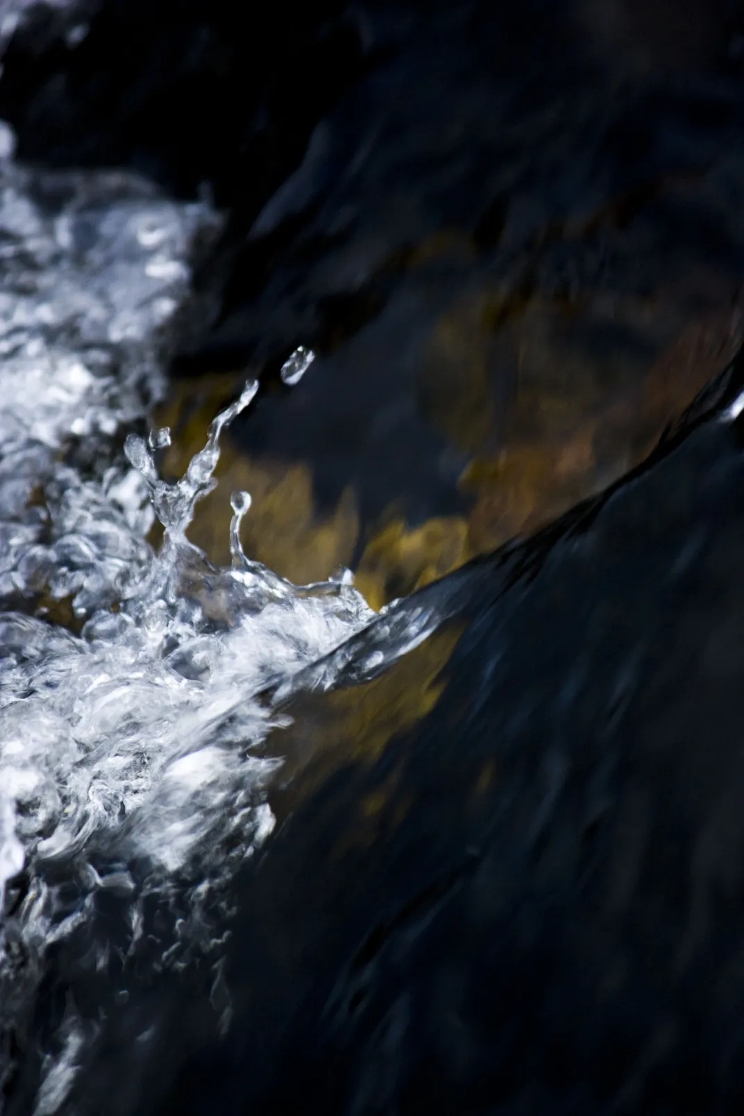 One of the "Aquatic Abstract Series", this was taken in July at a place ...