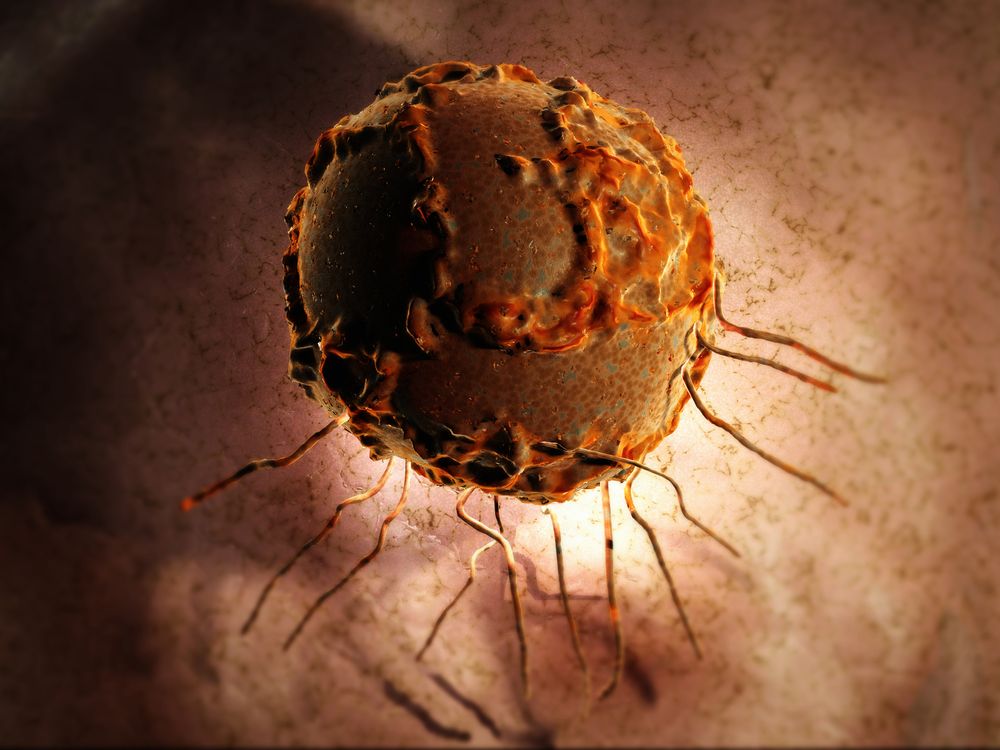 World-First Stem Cell Treatment Reverses Diabetes for a Patient in ...