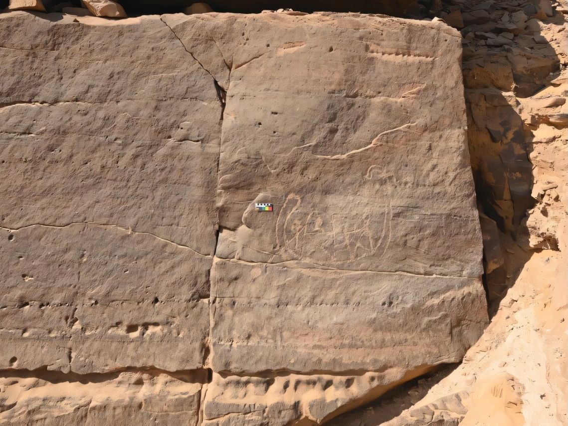 Does This Ancient Rock Carving Depict One of Egypt's Earliest Rulers?