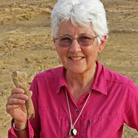 How Do Fossils Form?
