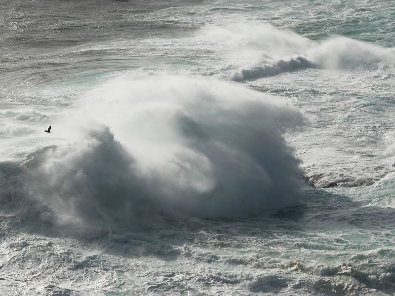 A storm at the Pacific ocean coast | Smithsonian Photo Contest ...