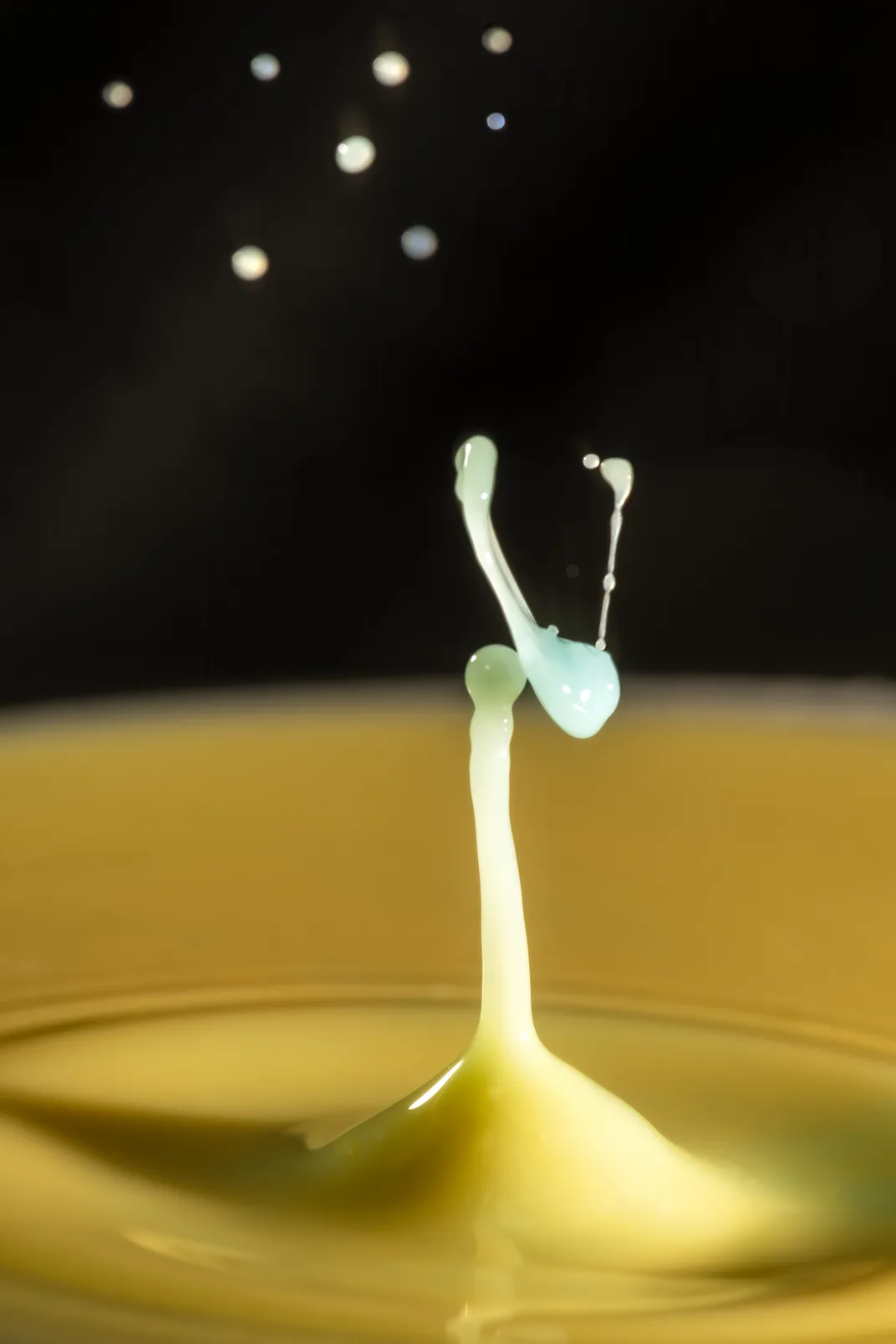 Dancing Milk Drops 1 | Smithsonian Photo Contest | Smithsonian Magazine