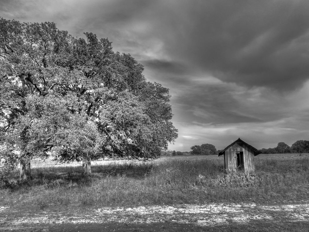 Lonely shack on the farm | Smithsonian Photo Contest | Smithsonian Magazine