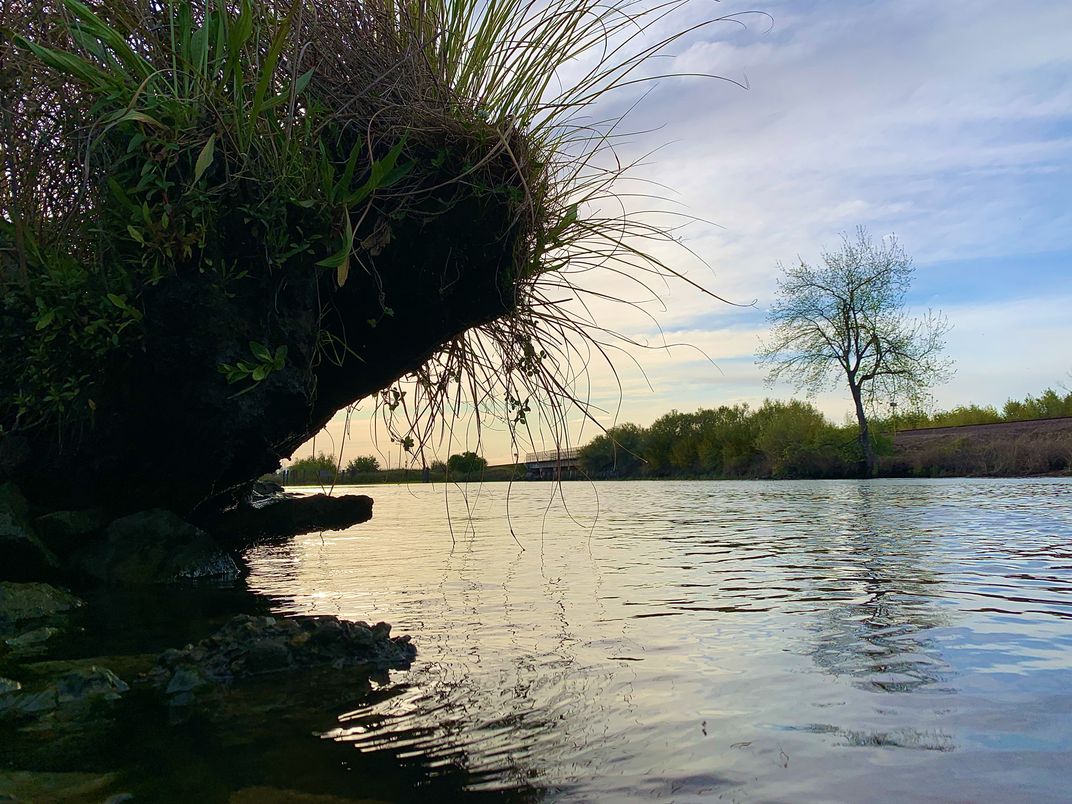 Frogs eye view | Smithsonian Photo Contest | Smithsonian Magazine