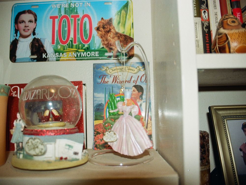 Visit Toto and OZ on a Book Shelf | Smithsonian Photo Contest ...