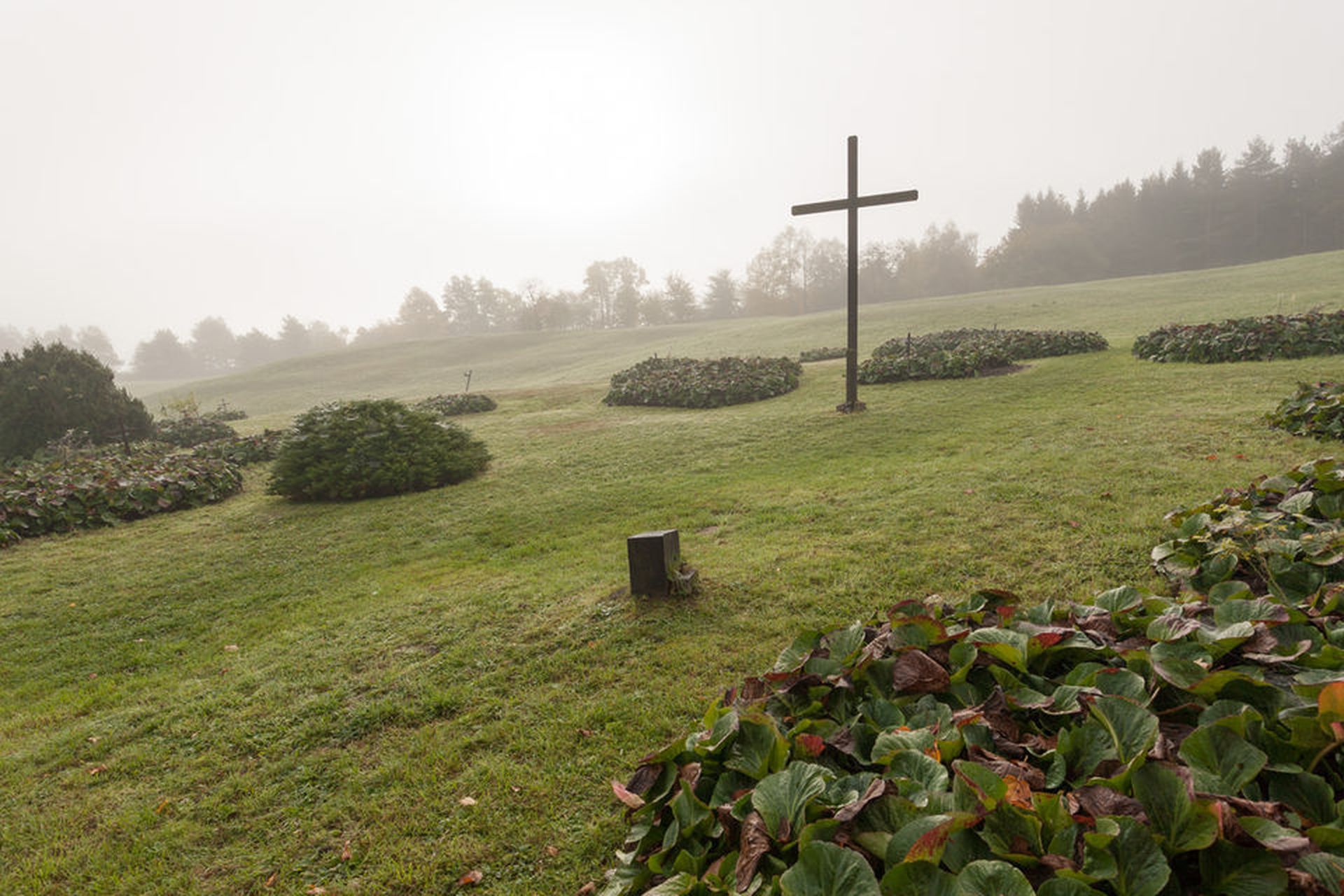 The Lost Children of the Lidice Massacre