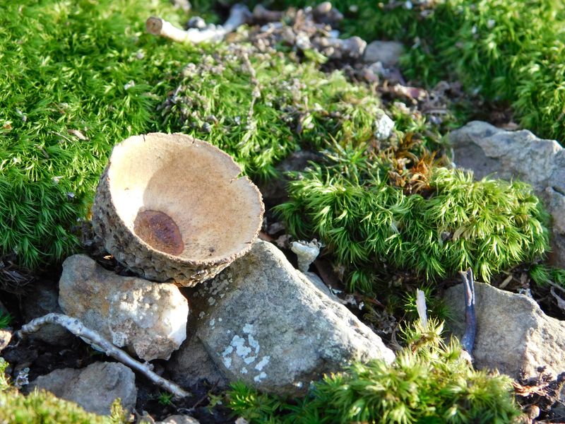 The lost hat | Smithsonian Photo Contest | Smithsonian Magazine