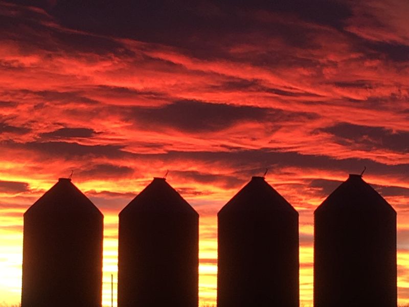 Alberta sunset | Smithsonian Photo Contest | Smithsonian Magazine