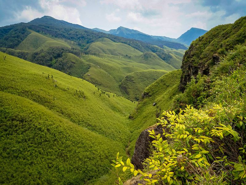 Dzuko Valley | Smithsonian Photo Contest | Smithsonian Magazine