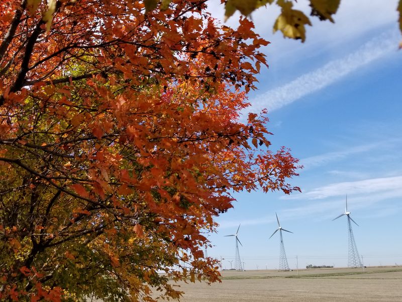 Fall in Iowa | Smithsonian Photo Contest | Smithsonian Magazine