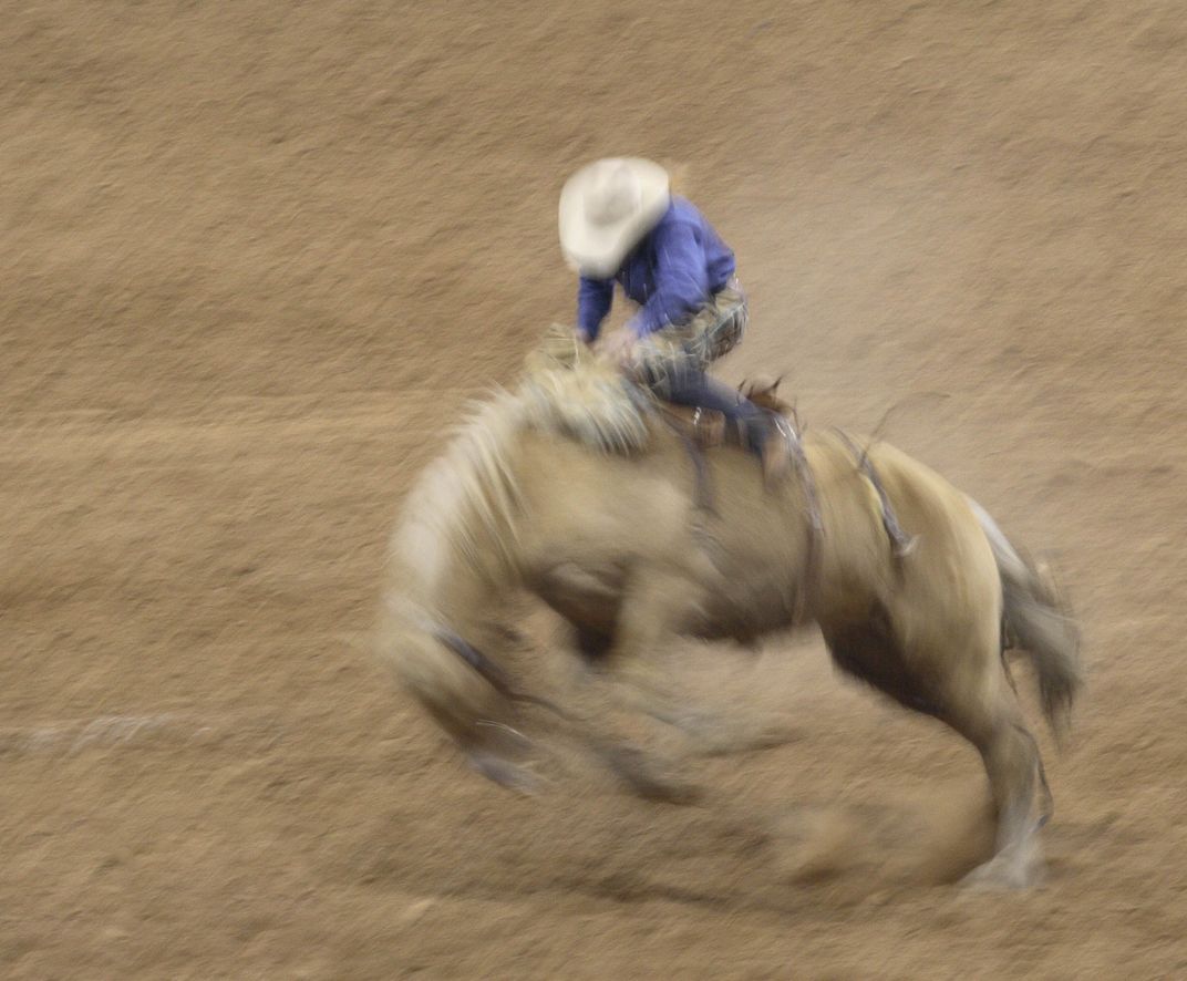 At The Rodeo | Smithsonian Photo Contest | Smithsonian Magazine