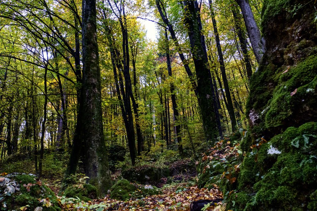 see you again in spring | Smithsonian Photo Contest | Smithsonian Magazine