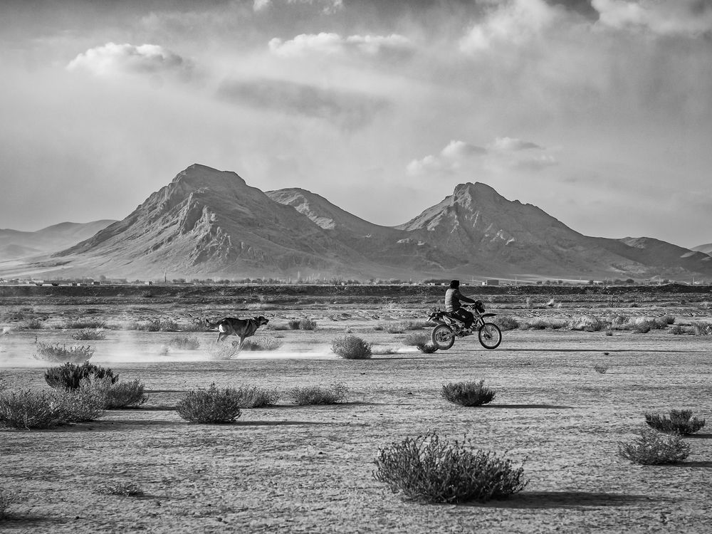 my hero dog | Smithsonian Photo Contest | Smithsonian Magazine