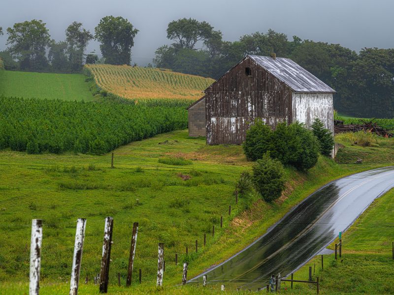Rainy Day Barn | Smithsonian Photo Contest | Smithsonian Magazine