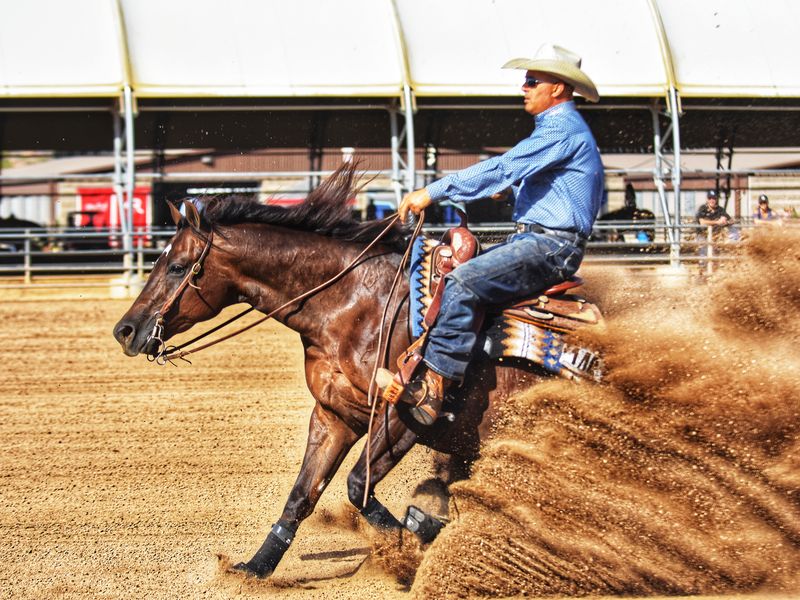 Cowboy Horse Reining Competition Scottsdale | Smithsonian Photo Contest ...
