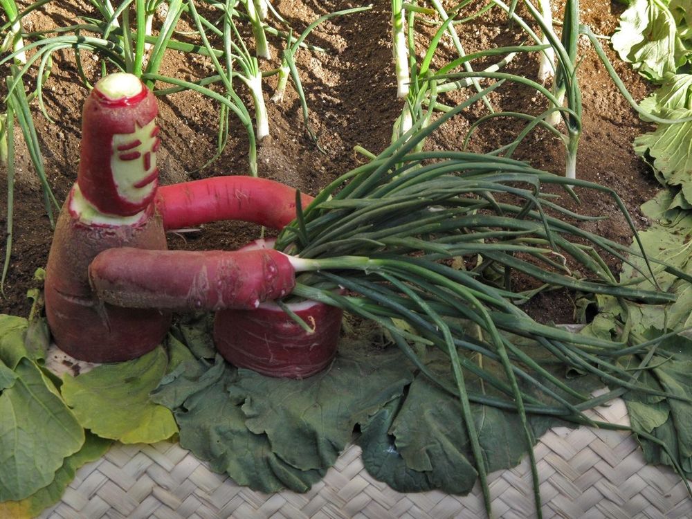 Why Radish Carving Has Become a Popular Holiday Event in Oaxaca