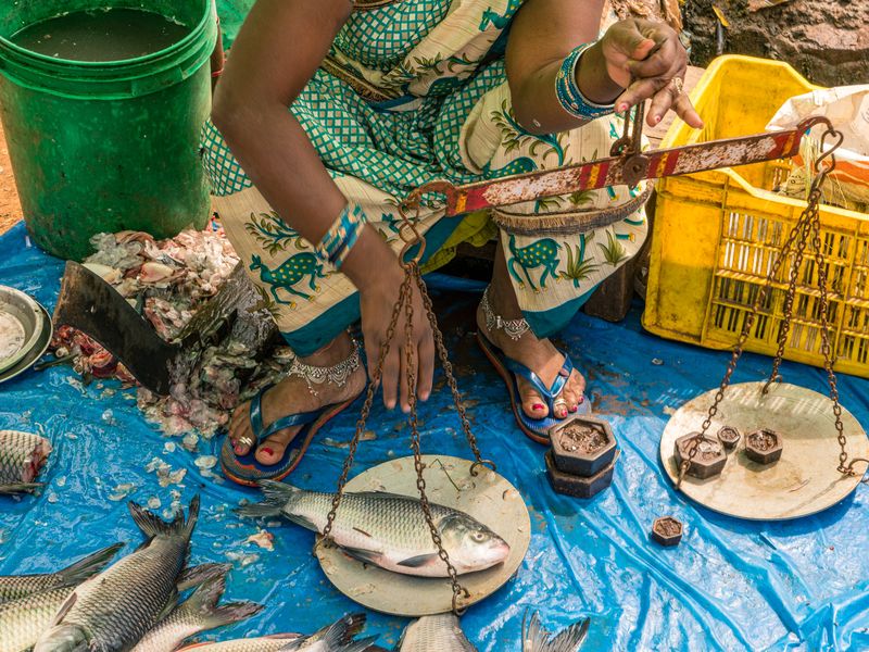 Fishwife | Smithsonian Photo Contest | Smithsonian Magazine