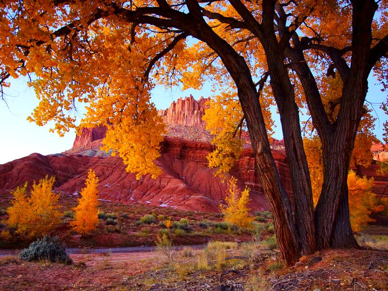 Fall in Capitol Reef National Park | Smithsonian Photo Contest ...