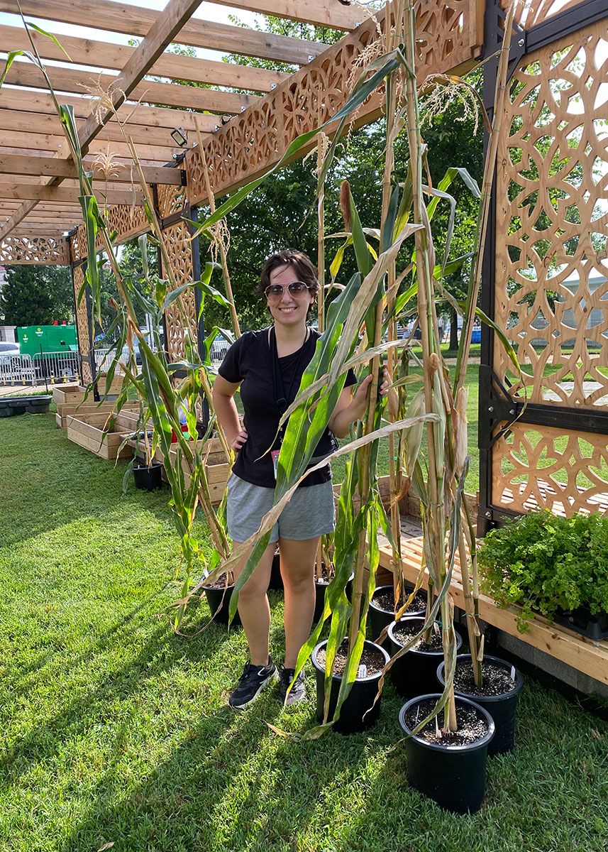 The Journey of Myaamia Native Corn to the Smithsonian Folklife Festival ...