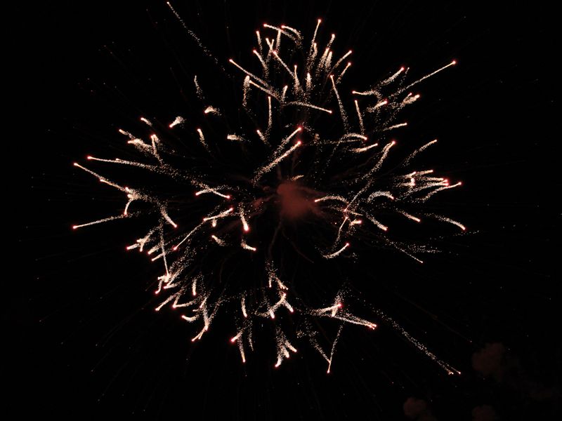 This exploding firework sums up July in America | Smithsonian Photo ...