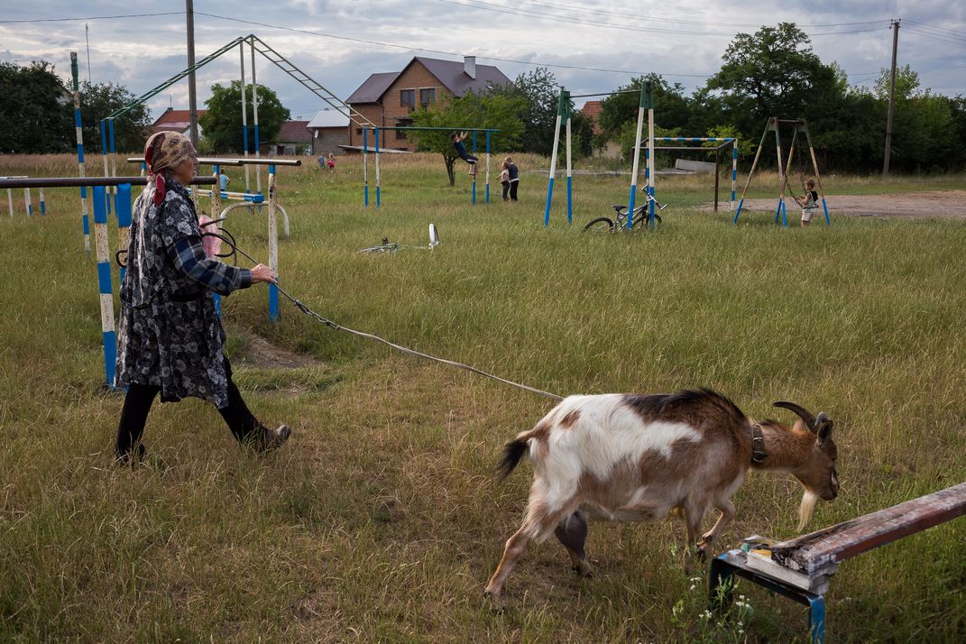 Pasture-playground | Smithsonian Photo Contest | Smithsonian Magazine