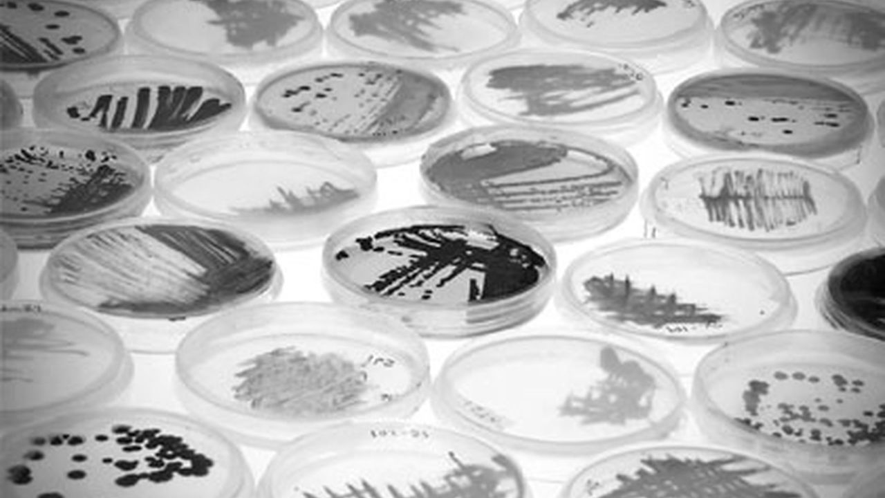 Smithsonian Magazine