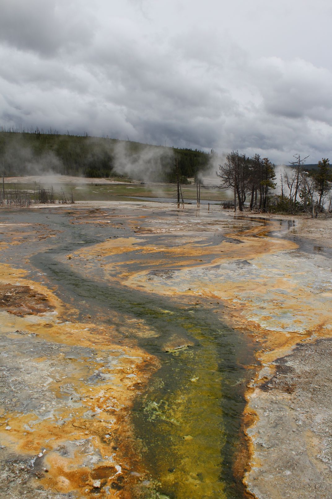 colors of the hot springs | Smithsonian Photo Contest | Smithsonian ...
