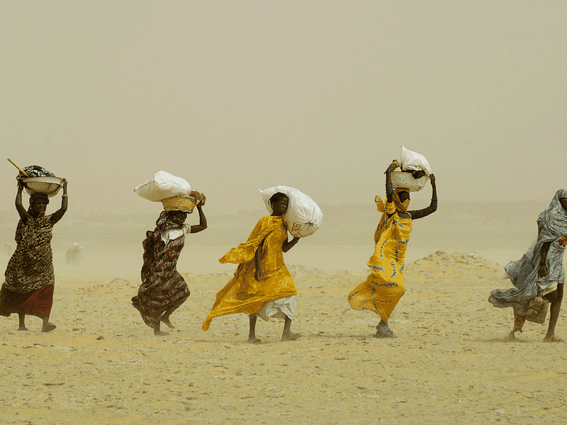 Women carriying salt in Sahara Desert | Smithsonian Photo Contest ...