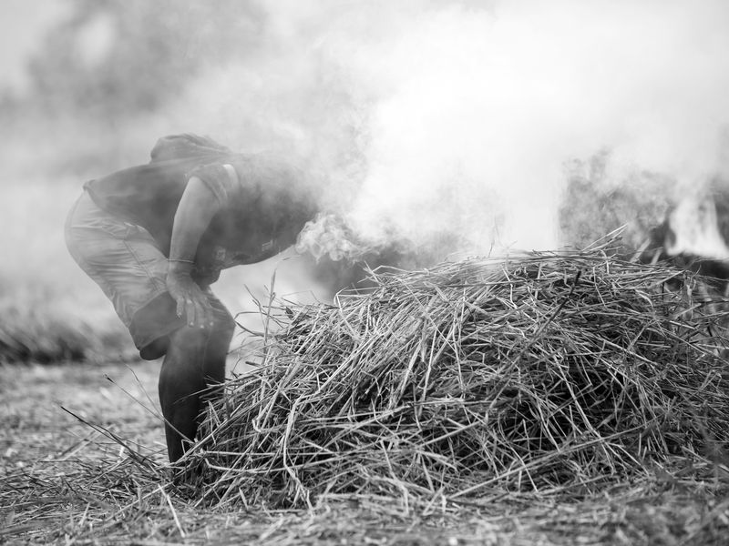 burning head | Smithsonian Photo Contest | Smithsonian Magazine