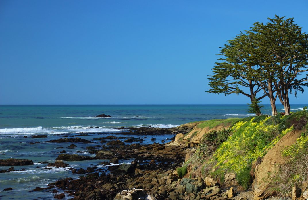 Spring in Central California Coast | Smithsonian Photo Contest ...