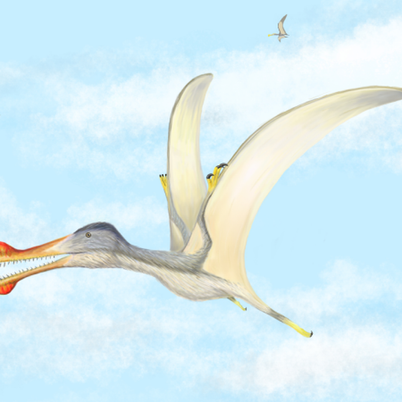 Creatlach Pterosaur Dineasár Pterosaur Animatronic Crochta Ar Díol