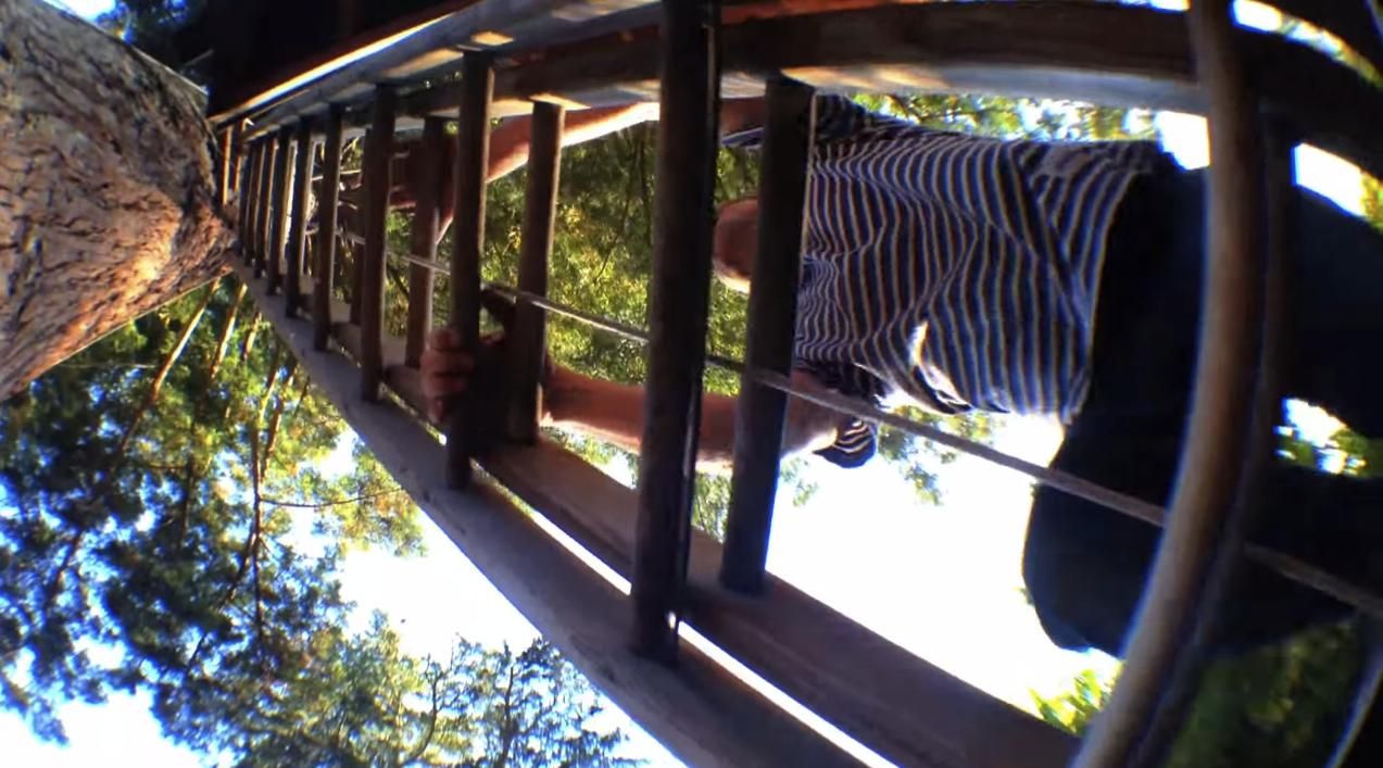 This Treehouse Has It All | Smithsonian