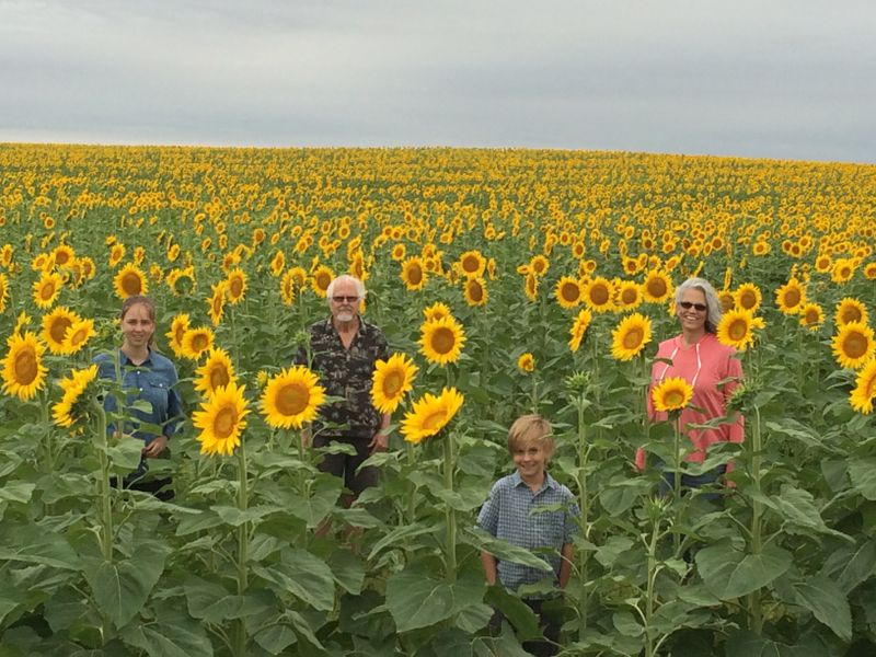 Americans in Sunflowers | Smithsonian Photo Contest | Smithsonian Magazine