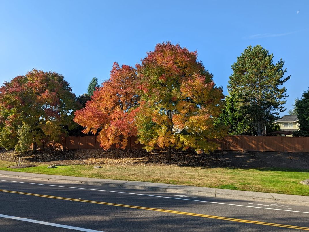 The Fall Color Spectrum | Smithsonian Photo Contest | Smithsonian Magazine