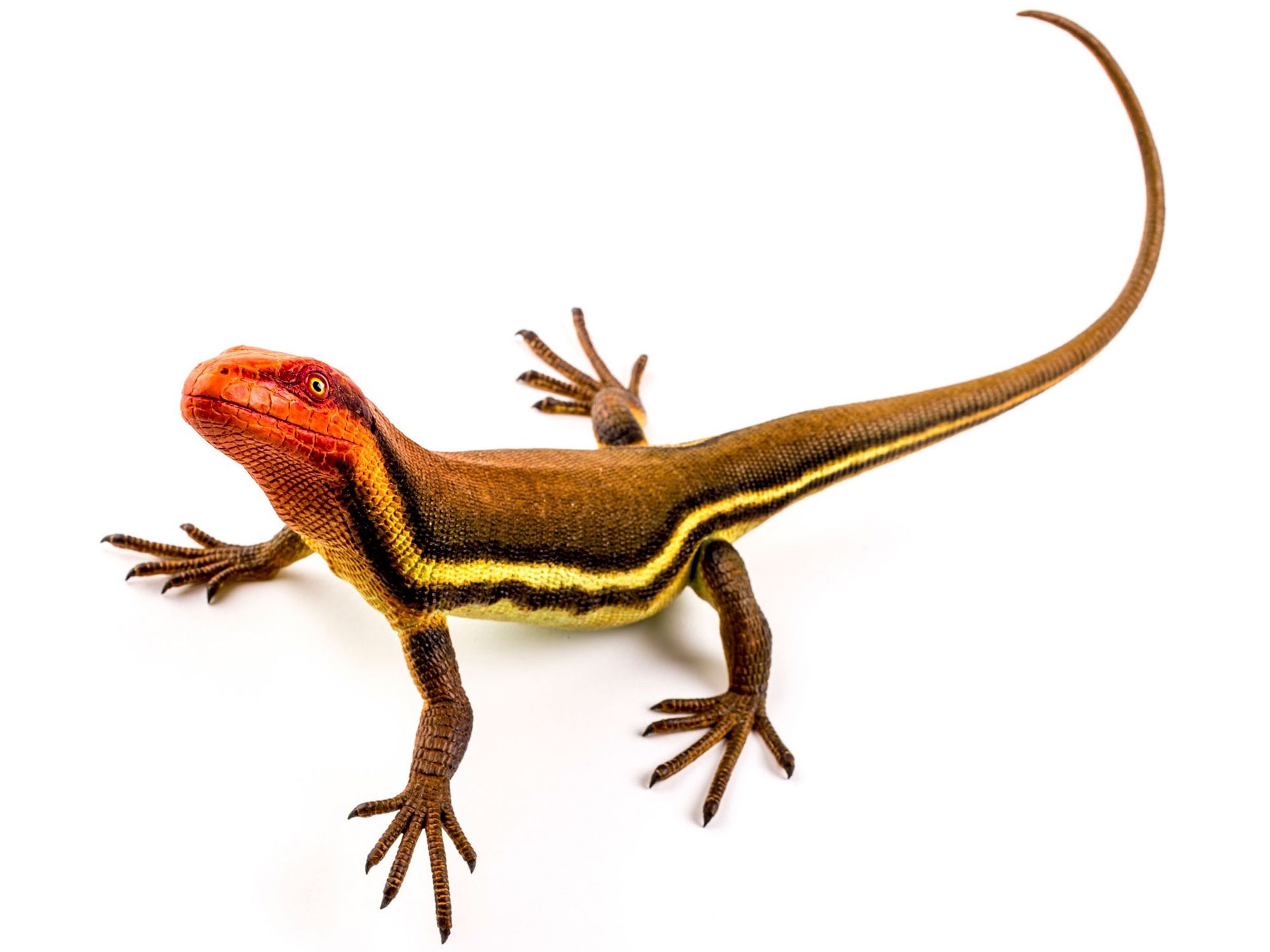 Tiny Animals Trapped in Fossil Trees Help Reveal How Fauna Moved Onto Land