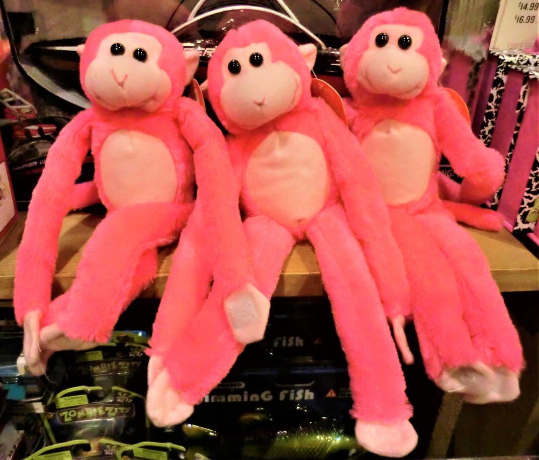 Plush Monkey's | Smithsonian Photo Contest | Smithsonian Magazine