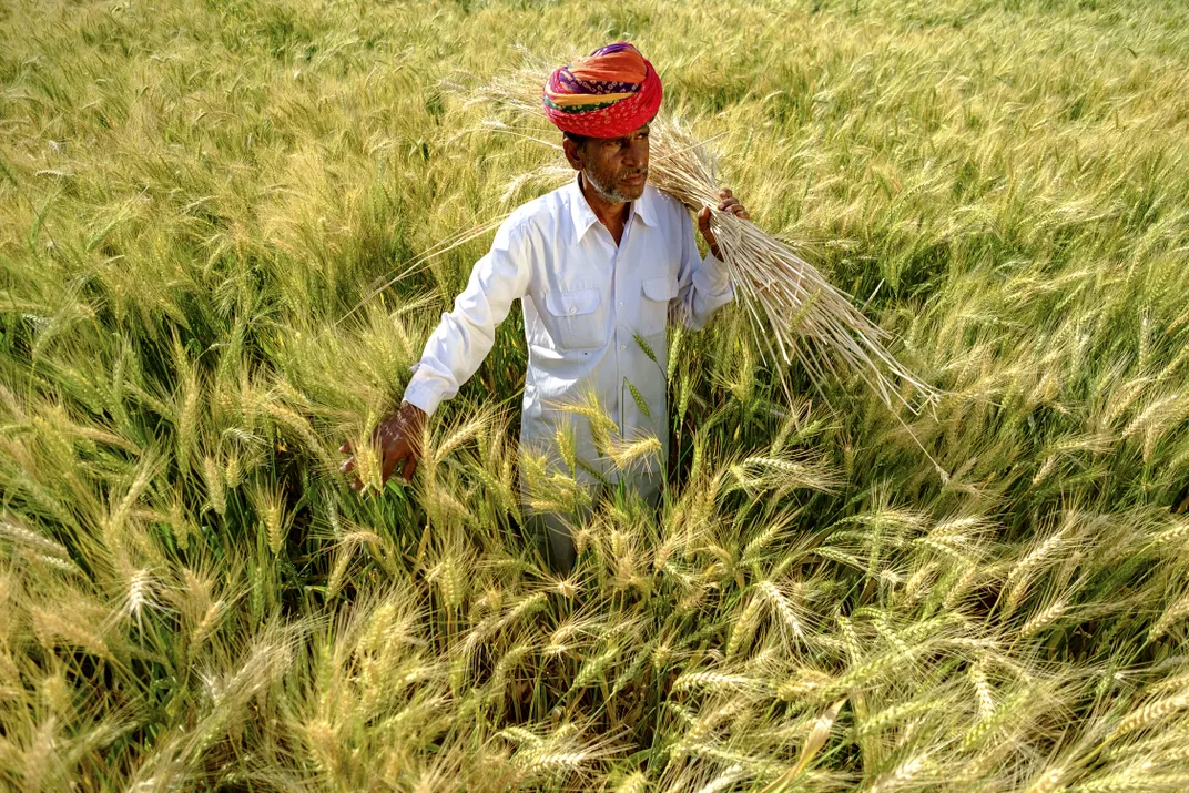 The Farmer. | Smithsonian Photo Contest | Smithsonian Magazine