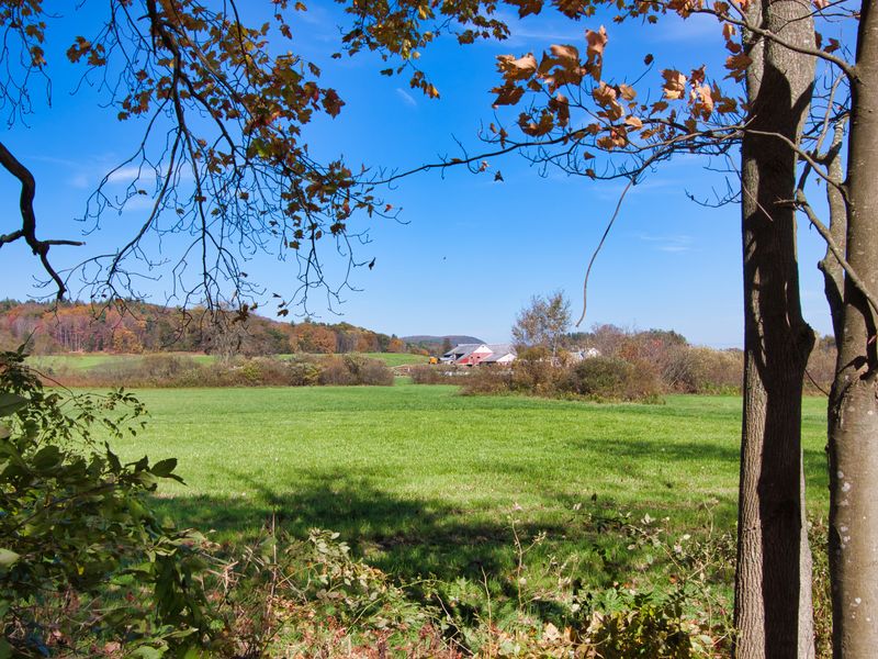 Scenic Farm Landscape | Smithsonian Photo Contest | Smithsonian Magazine