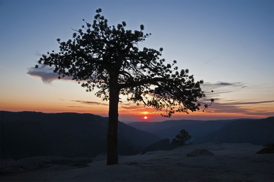 Taft Point Sunset | Smithsonian Photo Contest | Smithsonian Magazine