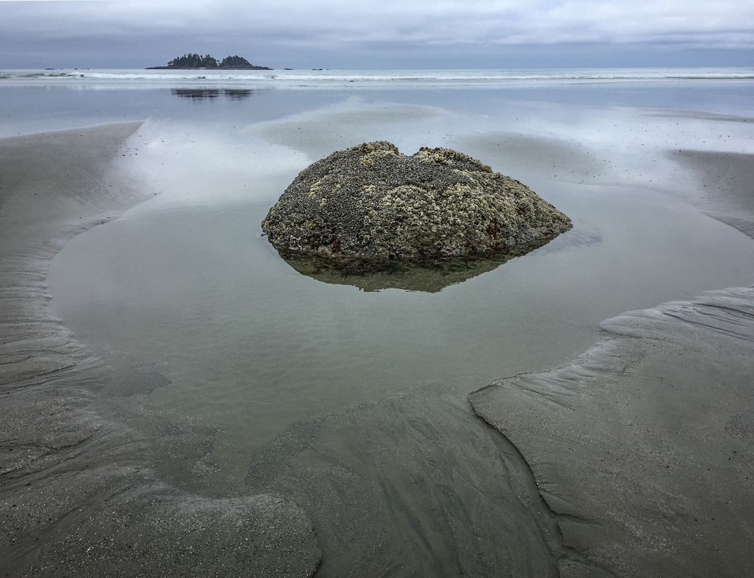 Tide pool rock on Florencia beach | Smithsonian Photo Contest ...