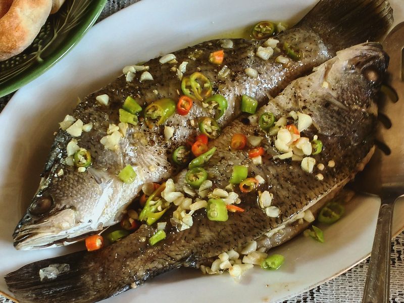 Fish of the Portuguese | Smithsonian Photo Contest | Smithsonian Magazine