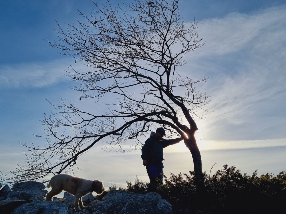 The man and the tree | Smithsonian Photo Contest | Smithsonian Magazine