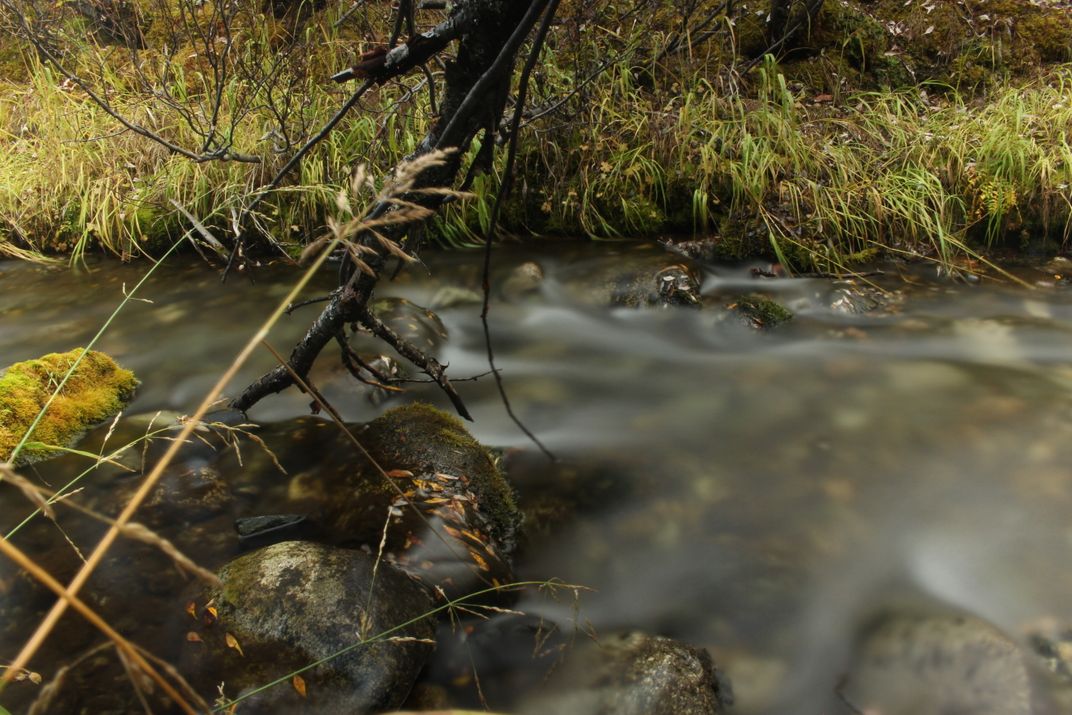 fast river | Smithsonian Photo Contest | Smithsonian Magazine
