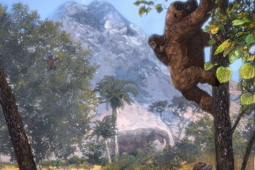 morotopithecus region