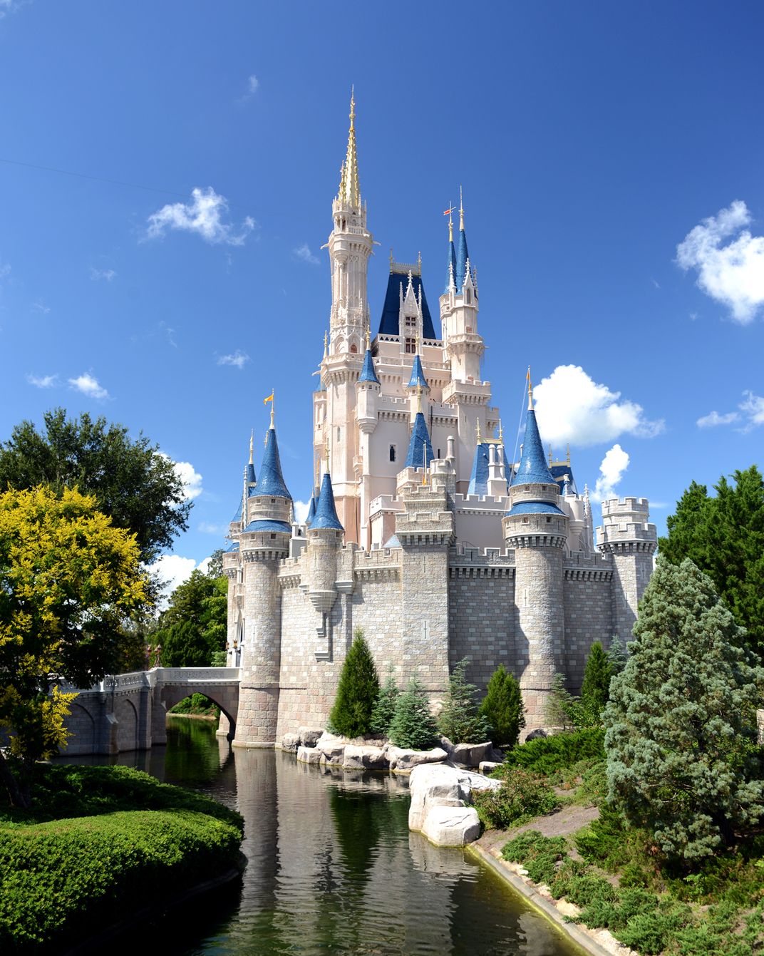 `Magic Kingdom | Smithsonian Photo Contest | Smithsonian Magazine