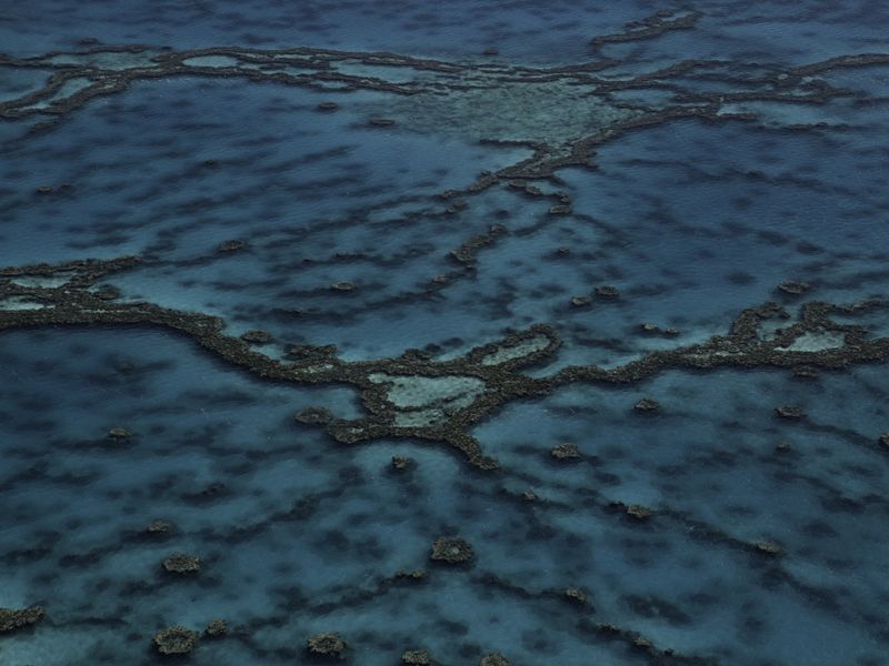 Great Barrier Reef | Smithsonian Photo Contest | Smithsonian Magazine